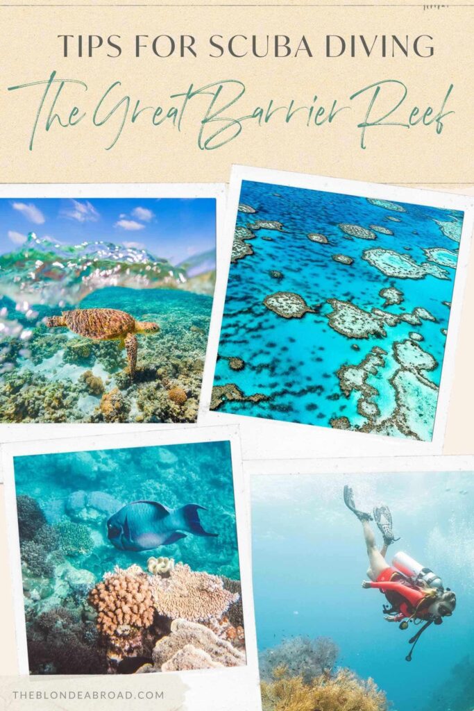 Tips for Scuba Diving the Great Barrier Reef • The Blonde Abroad