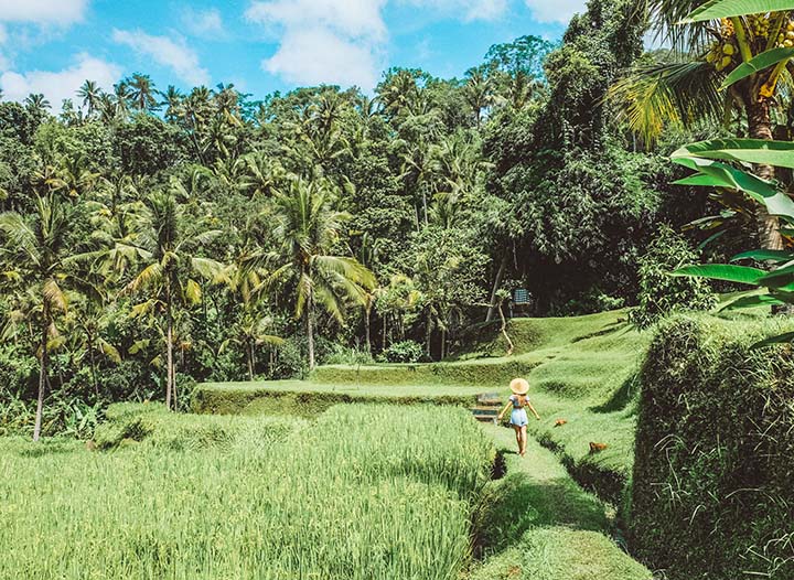 Top Things to See and Do in Ubud, Bali • The Blonde Abroad