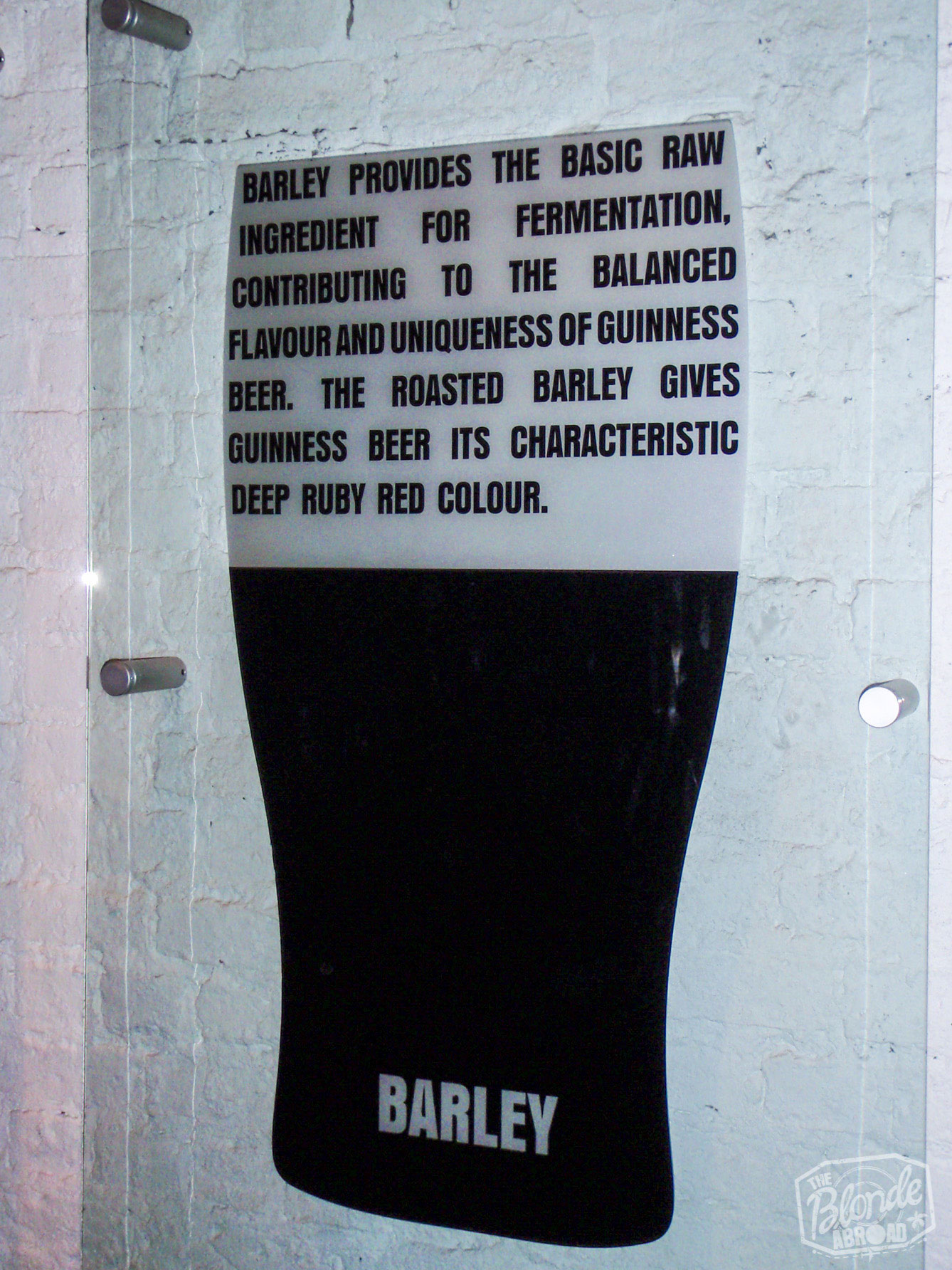Visiting the Guinness Storehouse in Dublin • The Blonde Abroad