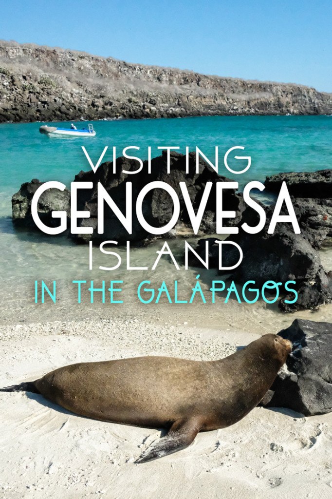 Visiting Genovesa Island in the Galápagos • The Blonde Abroad