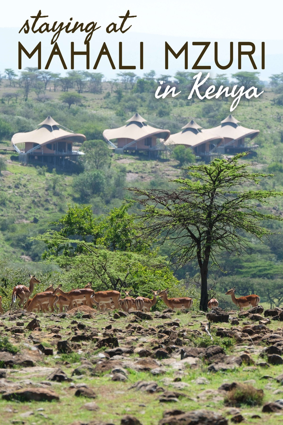 Staying at Mahali Mzuri in Kenya • The Blonde Abroad