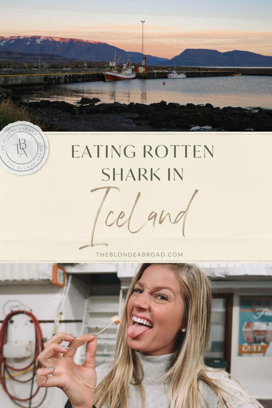 Eating Rotten Shark in Iceland • The Blonde Abroad