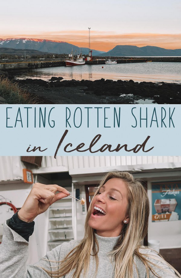 Eating Rotten Shark in Iceland • The Blonde Abroad