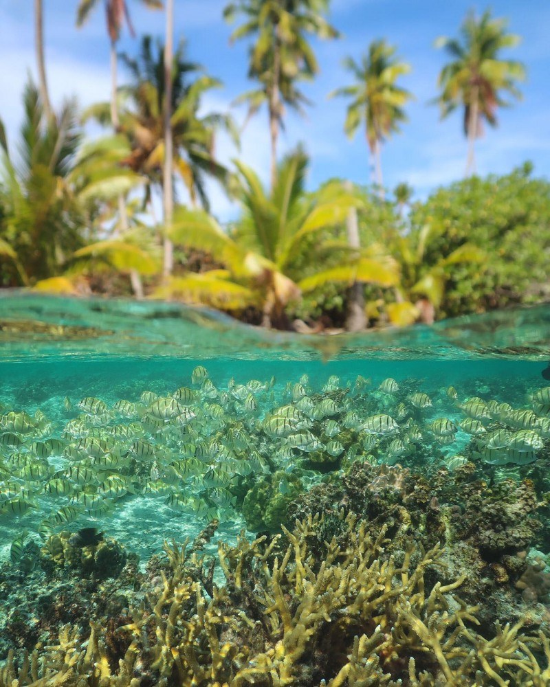 How to Reduce Your Environmental Impact While Traveling • The Blonde Abroad