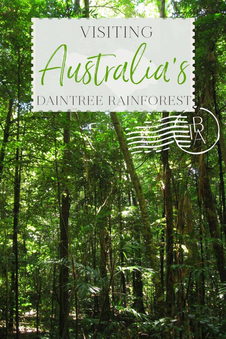 Visiting Australia's Daintree Rainforest • The Blonde Abroad