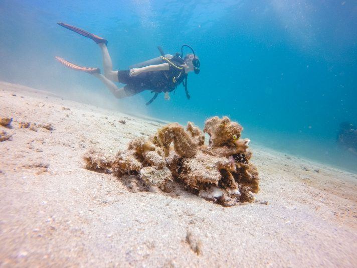 Scuba Diving with Trawangan Dive Centre in Gili T • The Blonde Abroad