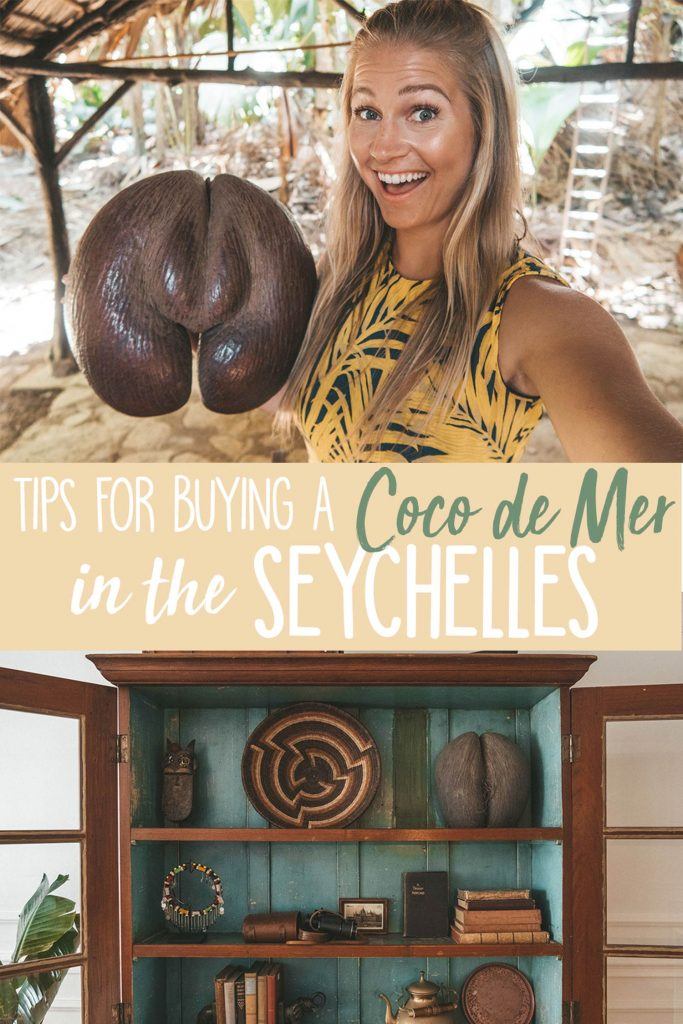 Tips for Buying a Coco De Mer in the Seychelles • The Blonde Abroad
