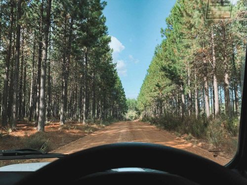 The Ultimate Garden Route Road Trip Itinerary • The Blonde Abroad