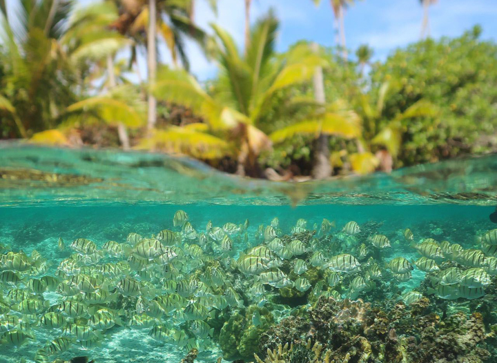 The Best Destinations for Nature Lovers • The Blonde Abroad