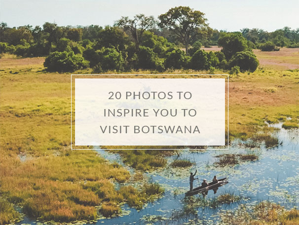 The Ultimate Botswana Travel Guide • The Blonde Abroad