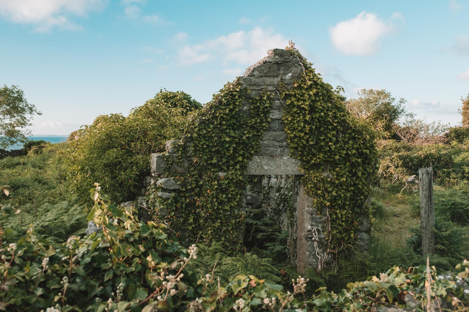 20 Photos to Inspire You to Visit Ireland • The Blonde Abroad