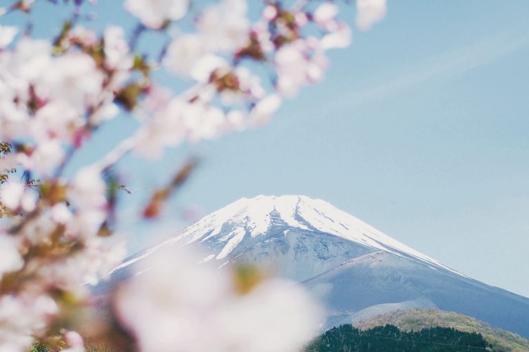 The World's Best Destinations to See Flowers • The Blonde Abroad
