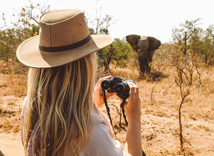 The Beginner's Guide to Photographing an African Safari • The Blonde Abroad