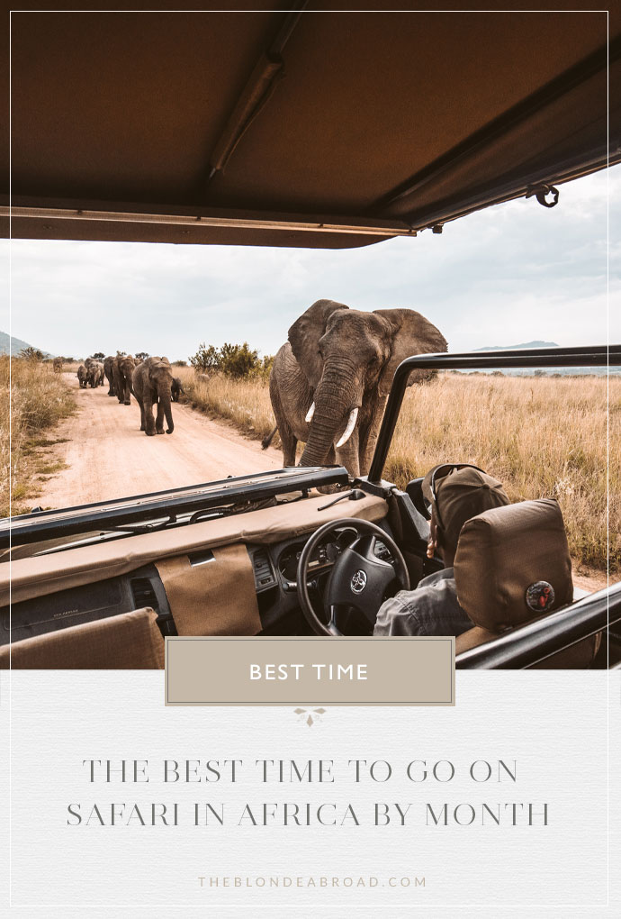 The Ultimate Africa Travel Guide • The Blonde Abroad