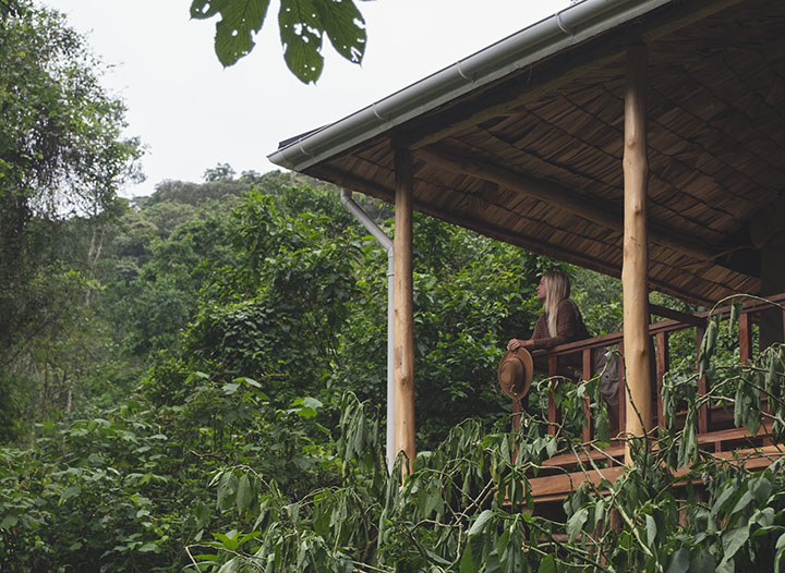 Staying at Sanctuary Retreats Gorilla Forest Camp in Uganda • The ...