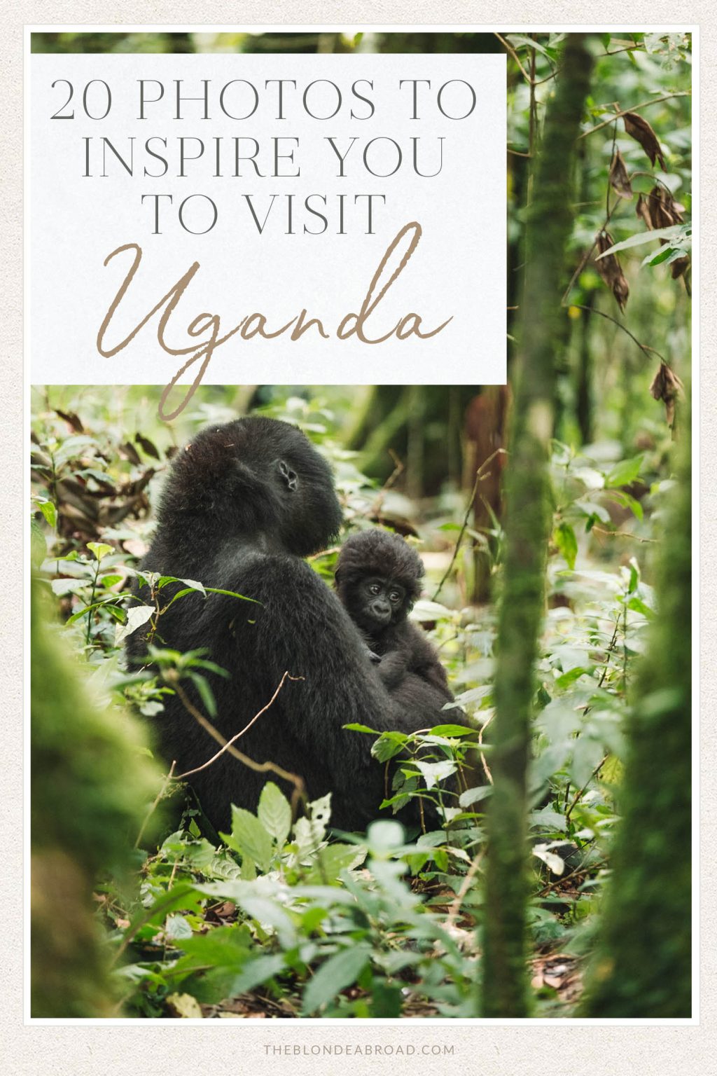 20 Photos to Inspire You to Visit Uganda • The Blonde Abroad