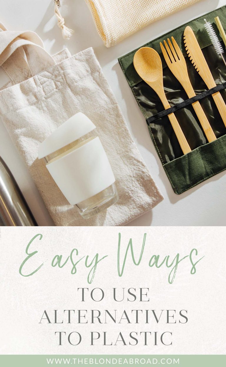 Easy Ways to Use Alternatives to Plastic • The Blonde Abroad