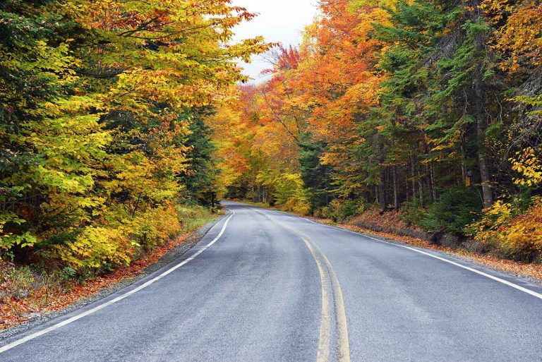 The Best Destinations In The United States For Leaf Peeping • The