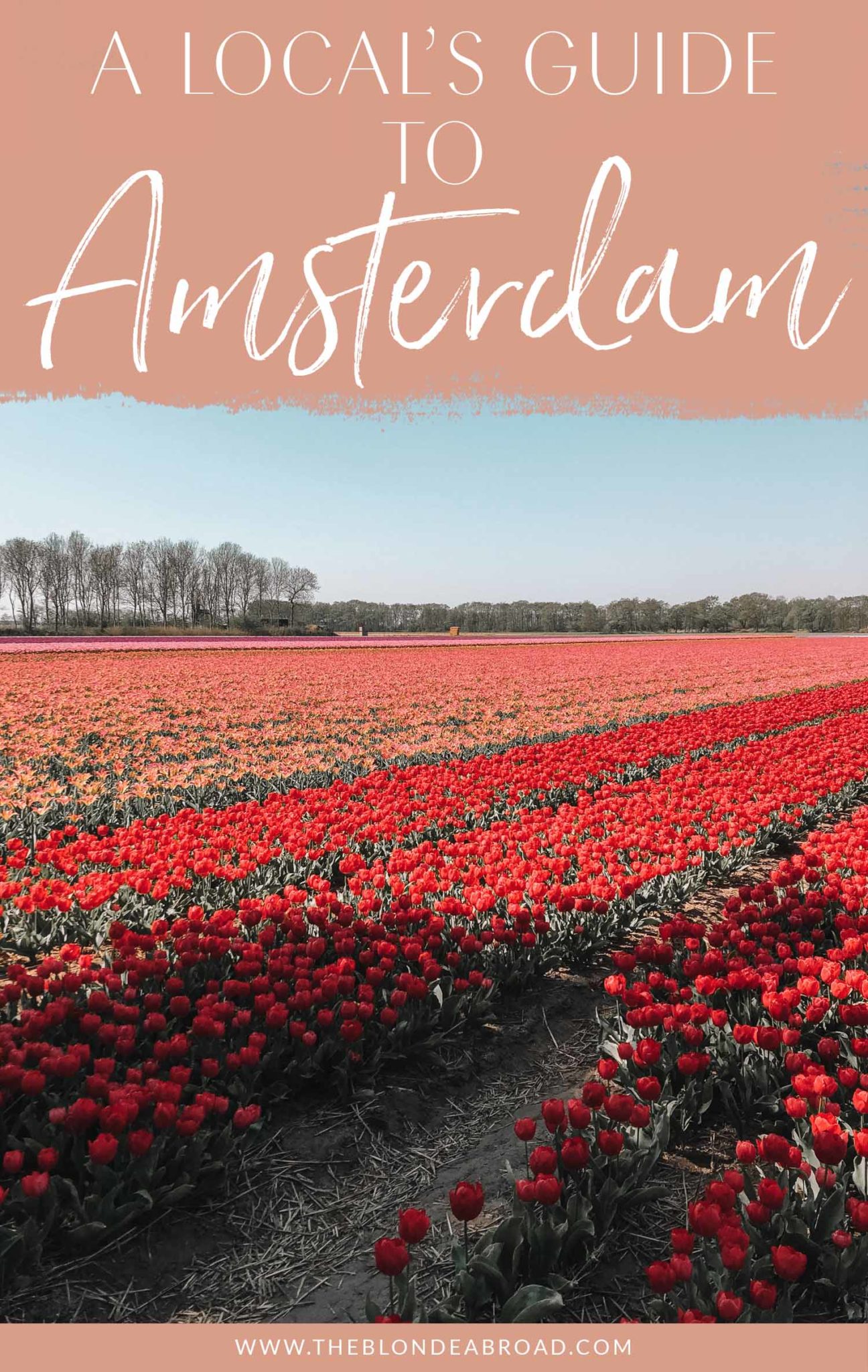 A Local's Guide to Amsterdam • The Blonde Abroad