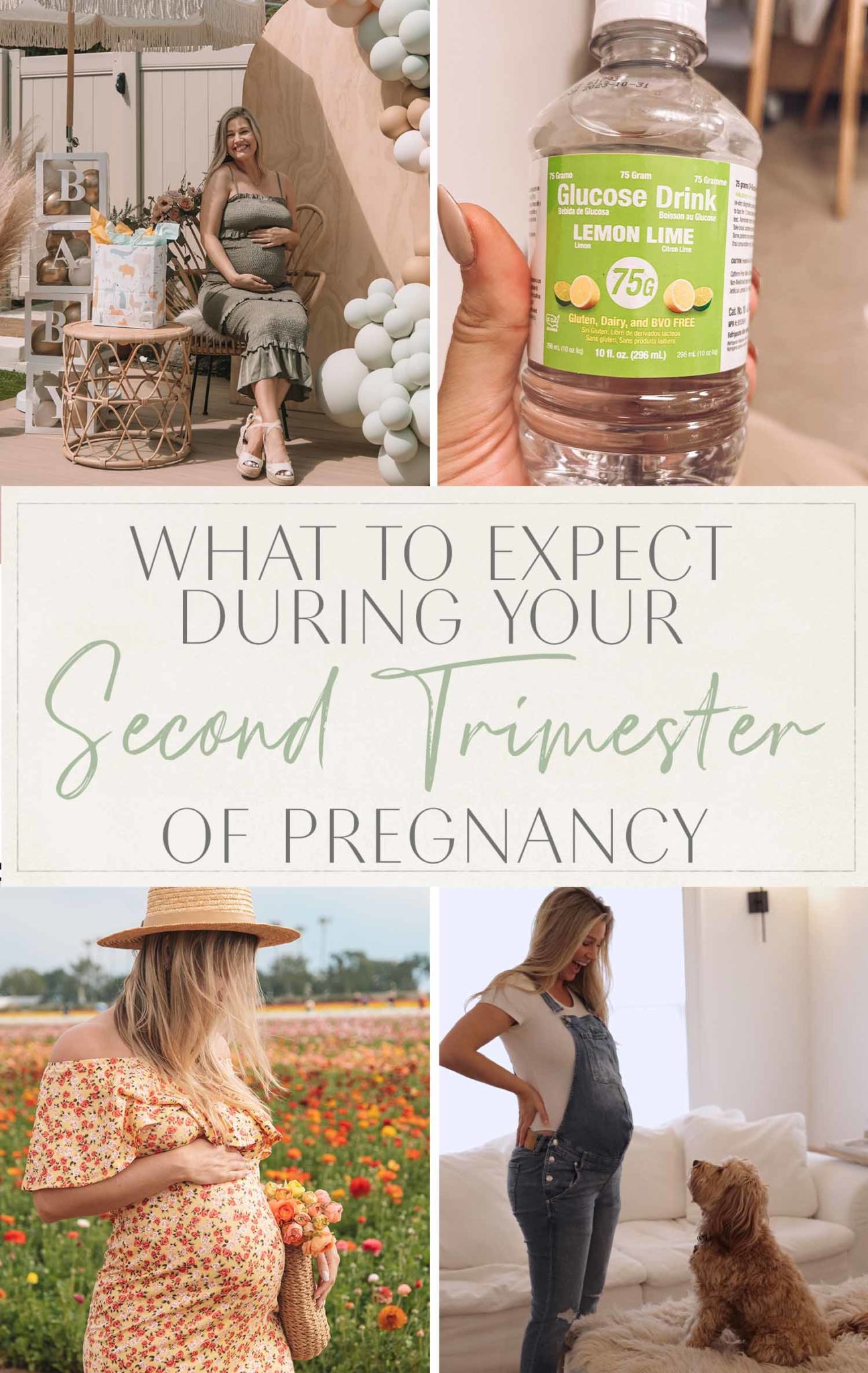 What to Expect During Your Second Trimester of Pregnancy • The Blonde ...